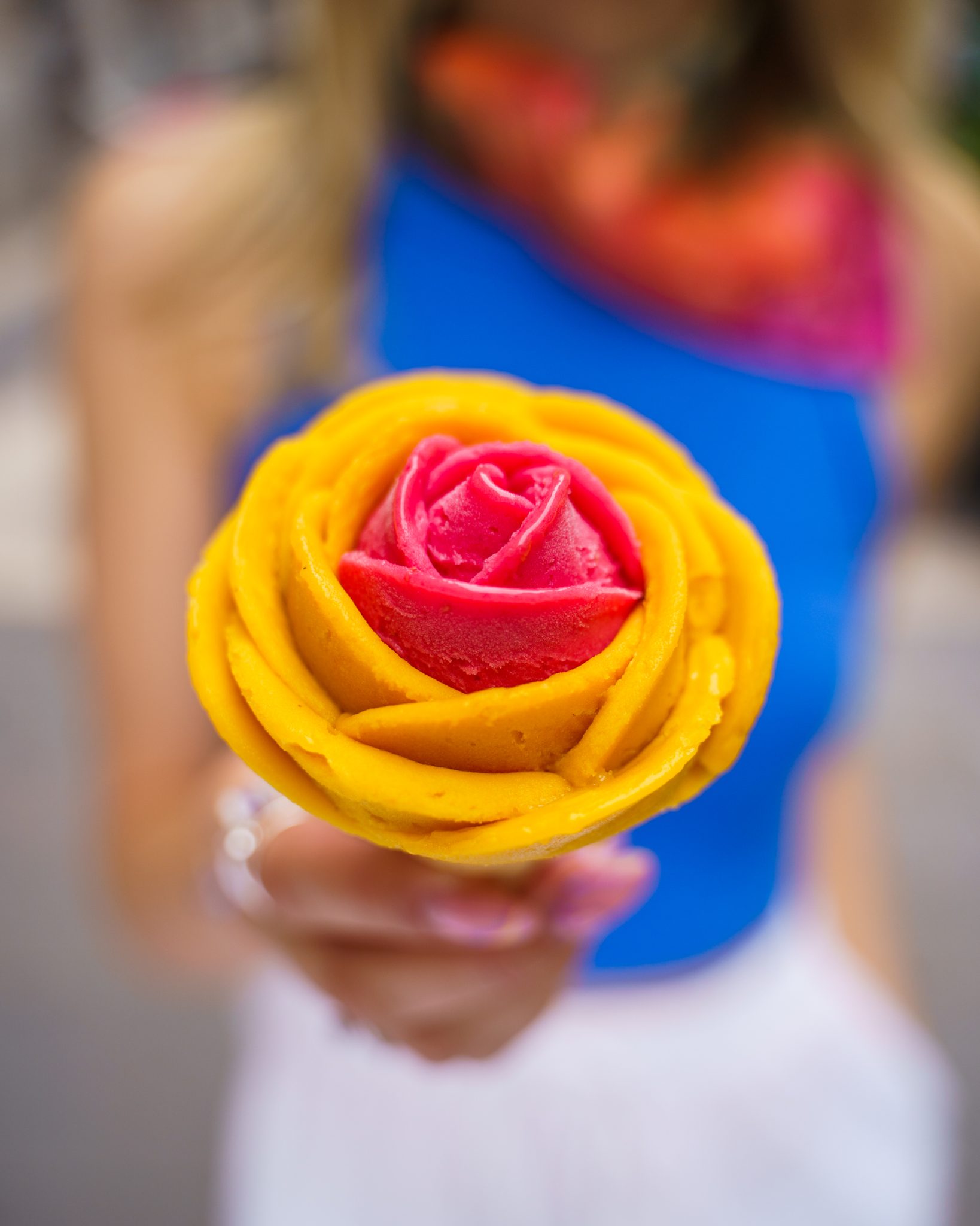 A Gelarto Rosa esszenciája – GELARTO ROSA